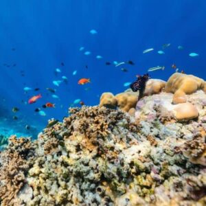 Budii Interactive Activity Projector for Children | SensoryOne